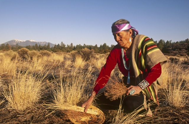 Native American Arizona - Arizona Travel Guide