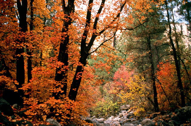 Phoenix Weekend Getaways - Arizona Travel Guide