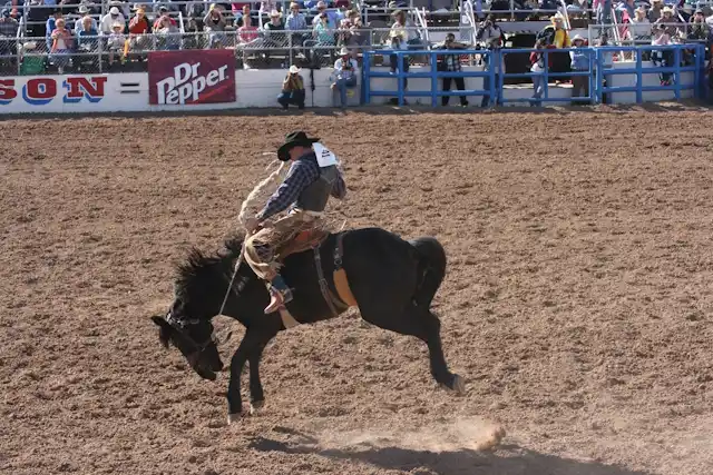 Tucson Rodeo - Arizona Travel Guide